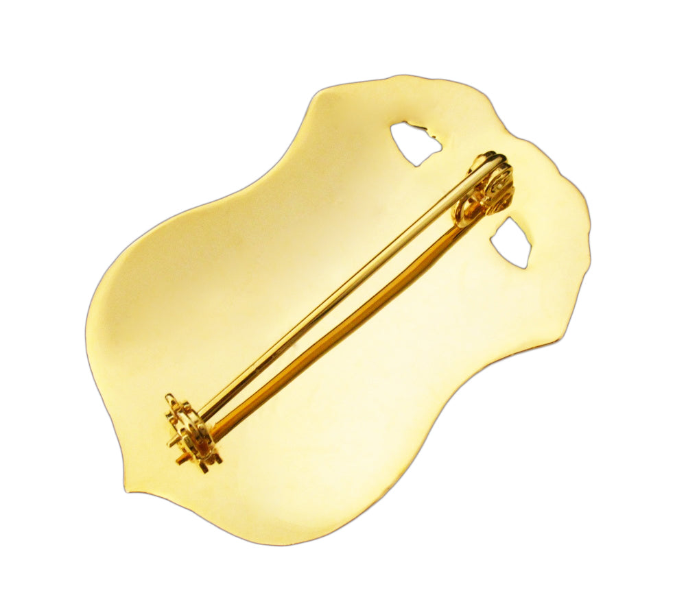 US HSI TFO Task Force Officer Badge Replica Movie Props Gold – Cop ...